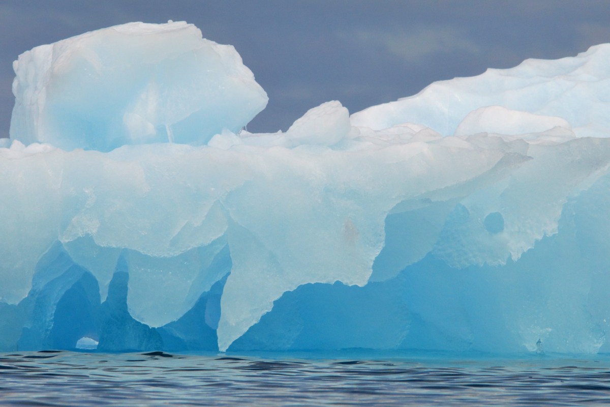 Ice Ice Baby at Muckle Bluff – Adventure Quest